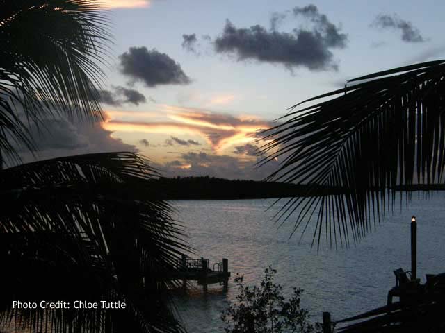 That Illusive Green Flash